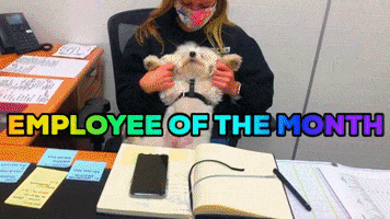 Employee Of The Month GIFs - Find & Share on GIPHY