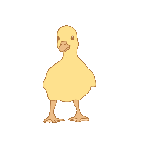 Farm Animal Duck Sticker for iOS & Android | GIPHY