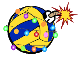 Problemi di Volley GIFs on GIPHY - Be Animated