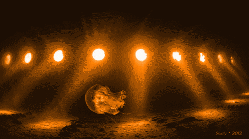 Invisible Painting Paul Jaisini GIFs - Get the best GIF on GIPHY