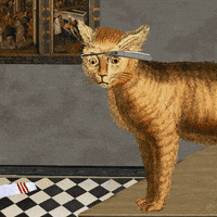 James Cat GIFs - Find & Share on GIPHY