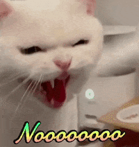 Noooooooo