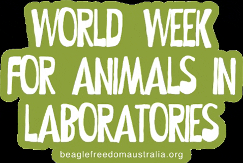 Lab Animal GIFs - Get the best GIF on GIPHY