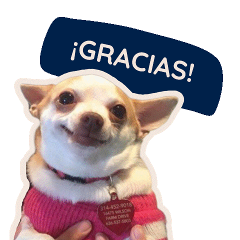 Gracias Perro Meme
