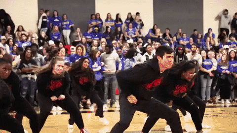 Midnightmayhem GIFs - Get the best GIF on GIPHY