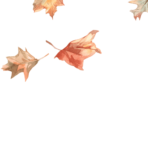 Fall Falling Sticker by Amy's Kitchen for iOS & Android | GIPHY