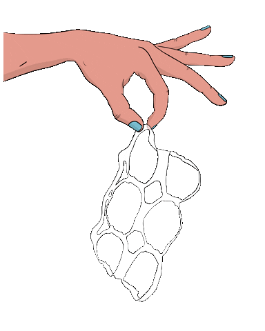 Plastic-eating fungi discovery - ABC News