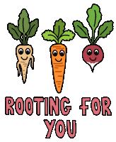 Support Rooting For You Sticker for iOS & Android | GIPHY