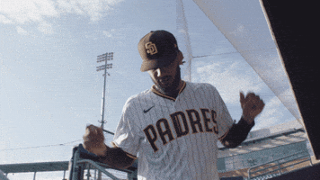 MLB GIFs to Get You Ready for Opening Day! by Sports GIFs | GIPHY