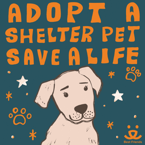 Dog-rescue-save-adoption GIFs - Get the best GIF on GIPHY