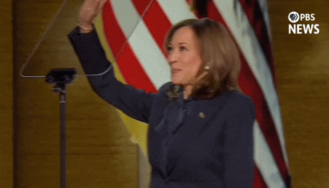 2024 Democratic National Convention GIFs on GIPHY - Be Animated