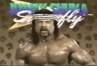 Wwf Wrestling GIFs - Get the best GIF on GIPHY