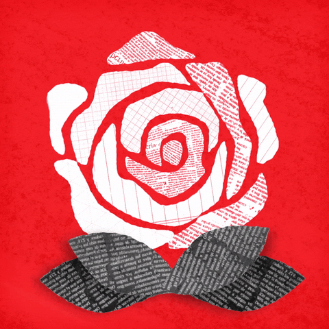 Socialist Rose