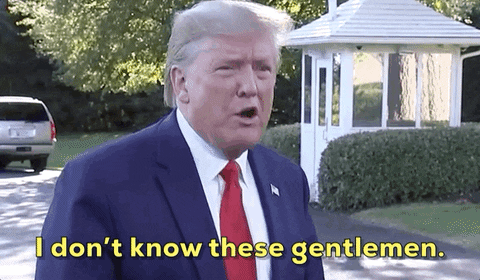 I-dont-know-these-gentlemen GIFs - Get the best GIF on GIPHY