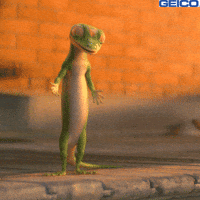 Not Today Geico Gif
