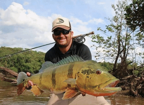Fish Fishing GIF by Predator Fly Gear - Find & Share on GIPHY