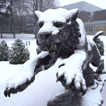 Tiger Statue GIFs - Find & Share on GIPHY