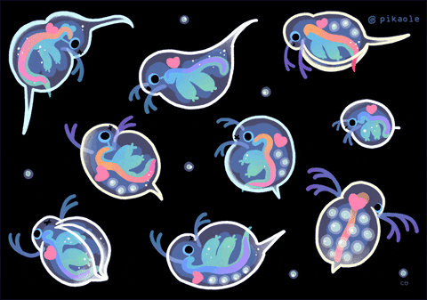 Micro World GIFs - Get the best GIF on GIPHY