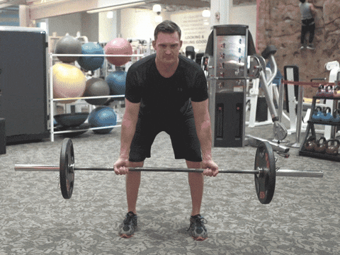 Barbell Row GIFs - Get the best GIF on GIPHY