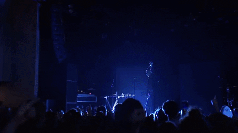 Wanderland Festival GIFs - Find & Share on GIPHY