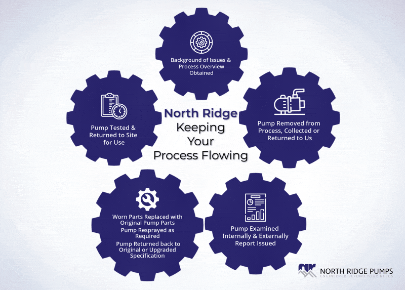 Processing Gif Animation