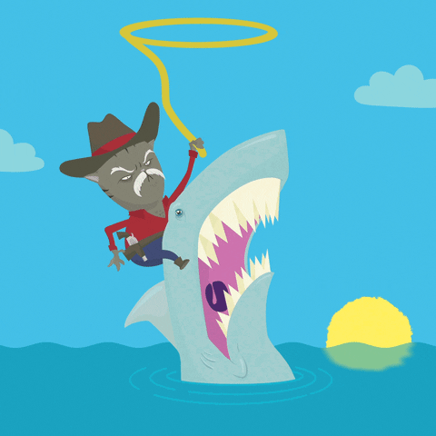 Cowboy Cat GIFs - Get the best GIF on GIPHY