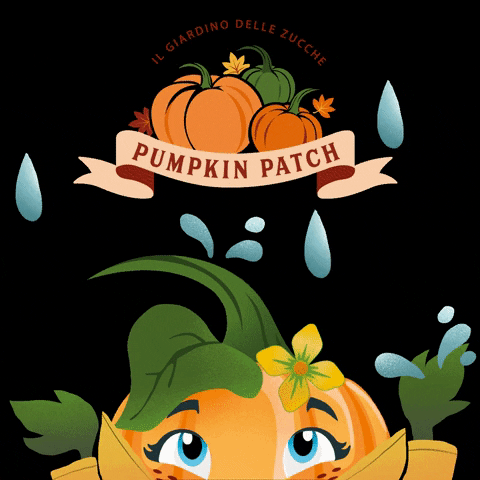 Pumpkin Patch Halloween GIF by Il giardino delle zucche pp - Find ...