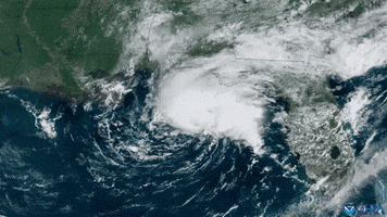 PSA: Hurricane Season is Officially Here by GIPHY News | GIPHY