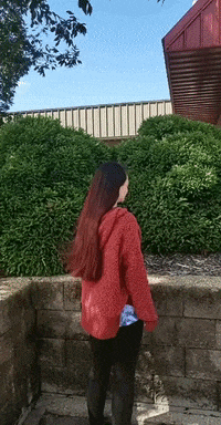 Gif De Vine De Aparición Geschichte Boliviens 1899 Bis 1909