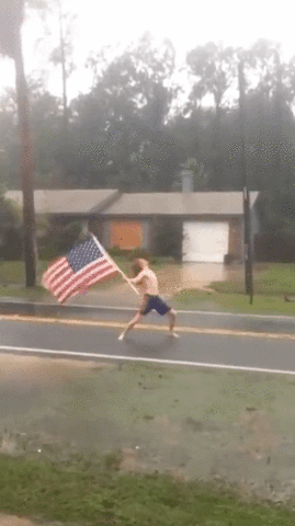 Florida-hurricane GIFs - Get the best GIF on GIPHY
