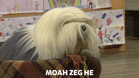 Zeg GIFs - Get the best GIF on GIPHY