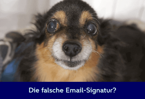 Email Signatures GIFs - Get the best GIF on GIPHY