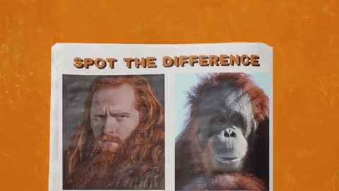 Spot The Differences GIFs - Get the best GIF on GIPHY