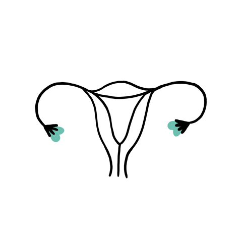 Ovarian-cancer GIFs - Get the best GIF on GIPHY
