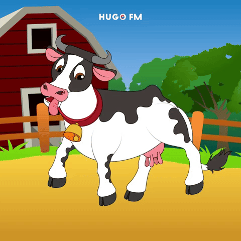 Funny Cow Gif Tumblr