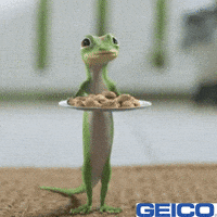 Geico Gecko Gif