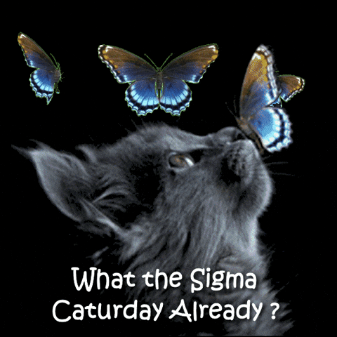 Sigma Cat GIFs - Find & Share on GIPHY