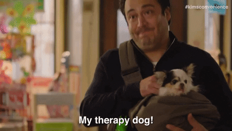 Therapy-dog GIFs - Get the best GIF on GIPHY