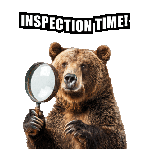 Bear Home Inspection LLC GIFs on GIPHY - Be Animated