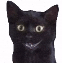 Evil Laugh Cat Gif