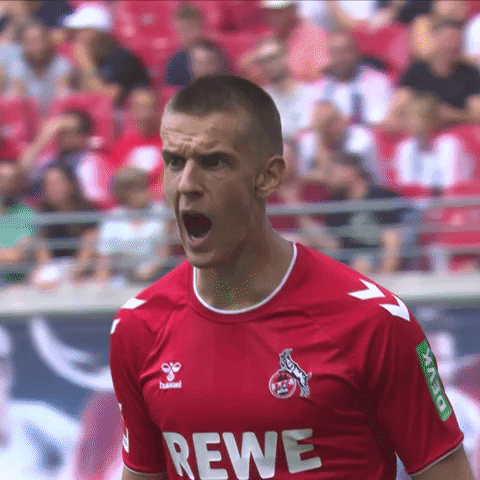 1 Fc Cologne Football GIF by 1. FC Köln - Find & Share on GIPHY