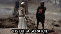 Monty Python Black Knight Gif