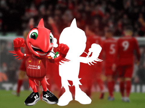 Lfc Cup GIFs - Get the best GIF on GIPHY