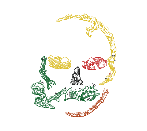 Slightly Stoopid Skull Logo