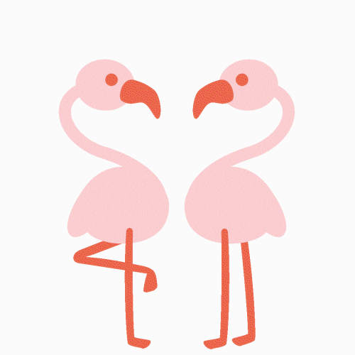 Flamingocouple GIFs - Get the best GIF on GIPHY