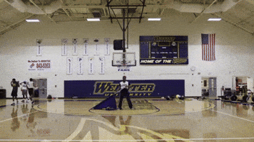 Webster University GIFs on GIPHY - Be Animated