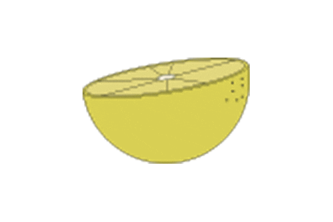 CAPI Sparkling GIFs on GIPHY - Be Animated