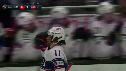 USA Hockey GIFs on GIPHY - Be Animated