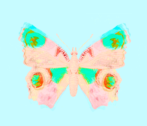 Animation Butterfly GIF by weinventyou - Find & Share on GIPHY