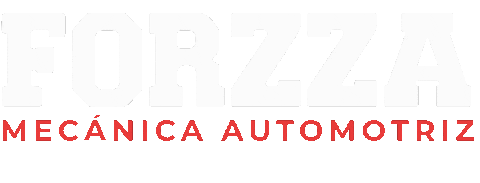 Maestro Forzza GIFs on GIPHY - Be Animated